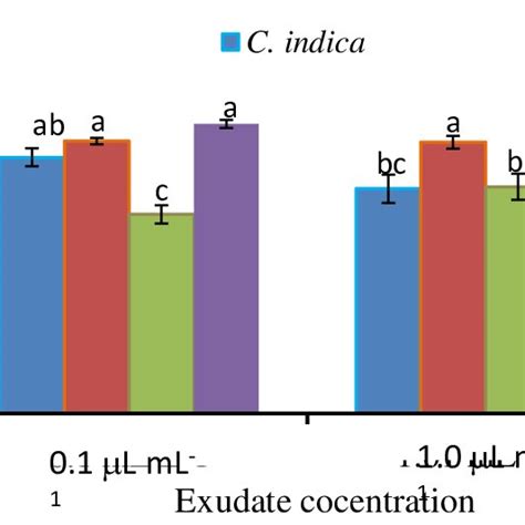 development of ganoderma boninense colony on malt extract agar
