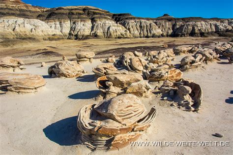 Badlands Im San Juan Basin Bisti Valley Of Dreams Fossil Forest King Of Wings New Mexico