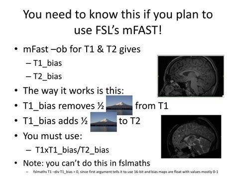Ppt Mri Preprocessing For Roi Based Structural Analyses Powerpoint Presentation Id 5589872
