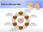 Professional Eeg Electrode Placement Editable PowerPoint Template