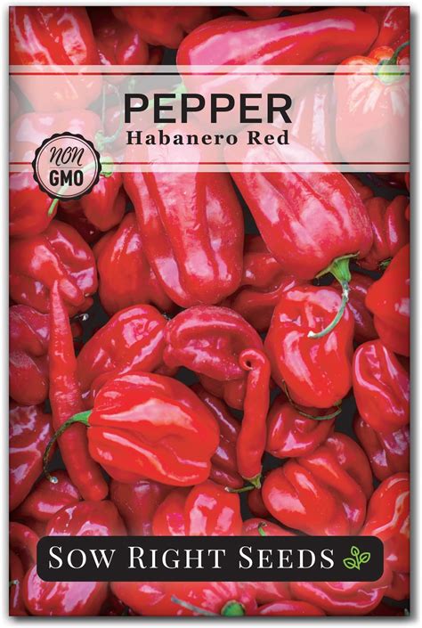 Habanero 25 Non Gmo Seeds Patio Lawn And Garden