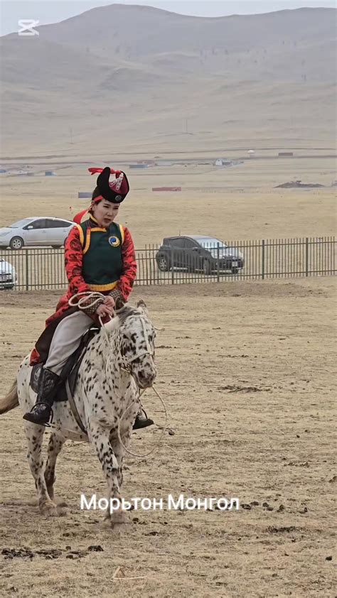 Монголын үзэсгэлэнт БҮСГҮЙЧҮҮД By Морьтон Монгол Facebook