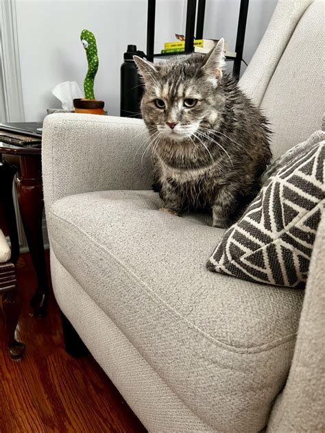 Sasha Had A Bath 9gag