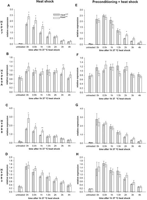 His4r Affects HSP Gene Induction After Heat Shock The Transcript Download Scientific Diagram