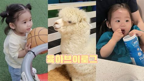 16개월 아기 육아브이로그ㅣ주말마다 열심히 놀러다니는 중 🎈 더플레이그라운드 가족여행 알파카 카페 Youtube