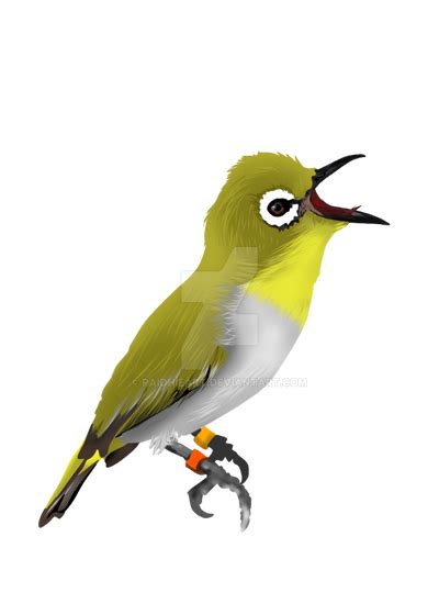 Logo Pleci By Paidhieart On Deviantart