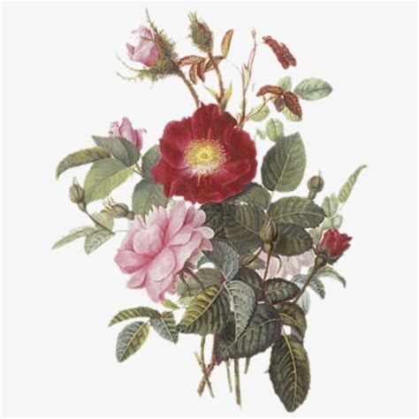 복고풍 꽃 일러스트 일러스트다발 꽃들 붉은 꽃 복고 꽃 Png 일러스트 및 Psd 이미지 무료 다운로드 Pngtree Floral Illustration Art