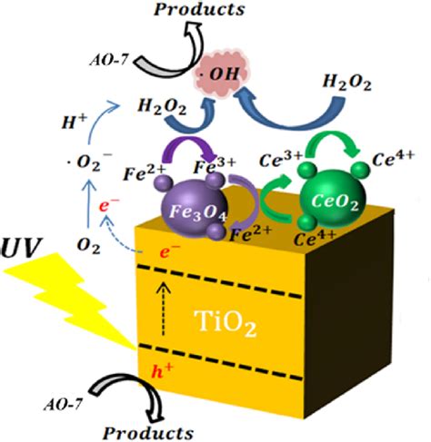 Schematic Diagram Of The Reaction Mechanism Of The H O Activation Download Scientific