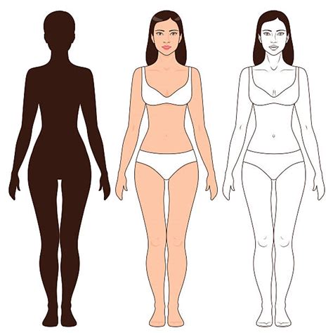 Female Torso Clipart
