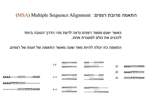 Ppt התאמה מרובת רצפים Msa Multiple Sequence Alignment Powerpoint
