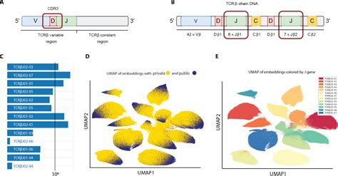 Self Supervised Learning Of T Cell Receptor Sequences Exposes Core Properties For T Cell