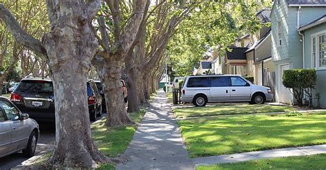Trees Album On Imgur