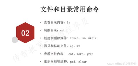 （linux和数据库）1 linux操作系统和常用命令 操作linux远程连接linux命令介绍文件或目录常用的命令ls 查看当前文件夹下的