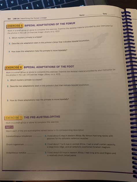 Solved 414 Lab 14 Identifying The Human Lineage Exercise