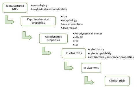 Multistage Process Of Formulation Inhalable Mps Download Scientific