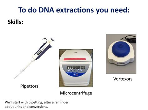 Ppt Dna Barcoding Workflow Powerpoint Presentation Free Download