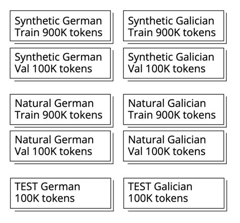 The Resulting Parallel Corpora After Our Data Collection Section