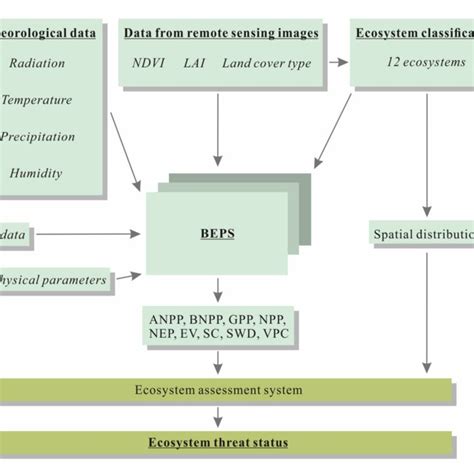 The Conceptual Framework Showing Inputsoutputs Data Of Beps And
