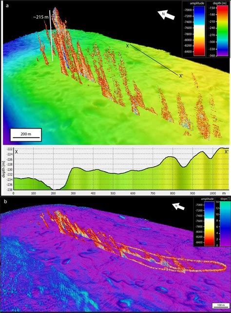 2 A Perspective View Of The Rough Seabed Topography In The Pockmark Download Scientific