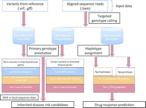 Overall Heuristic For Variant Identification Genotype Determination Download Scientific