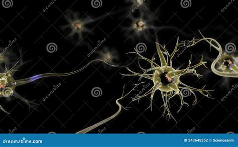 Neuronal Synapse Royalty Free Cartoon 98111852