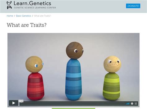 University Of Utah Learn Genetics What Are Traits Instructional Video For 9th 10th Grade