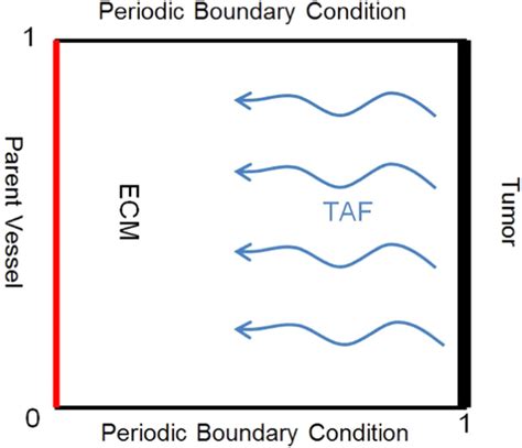 A Schematic Of The Solution Domain Download Scientific Diagram