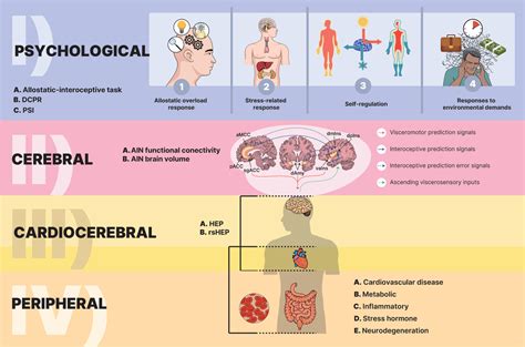 A Predictive Coding Framework Of Allostatic Interoceptive Overload To Comprehend Frontotemporal