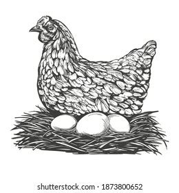 Hen Laying Eggs Nest Hand Drawn Stock Vector Royalty Free 2280891957