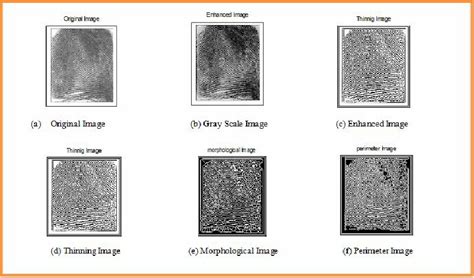 Arch Fingerprint Image Procedure Download Scientific Diagram