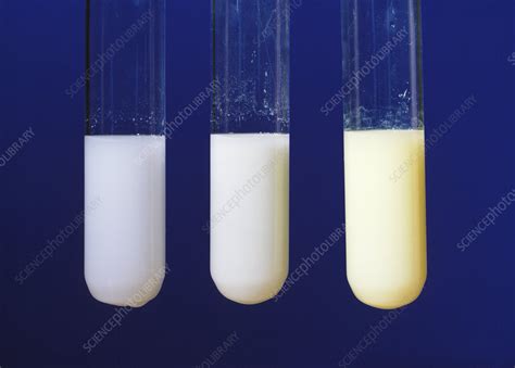 Silver Compounds Stock Image A500 0289 Science Photo Library