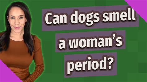 Do Dogs Have A Sixth Sense For Periods