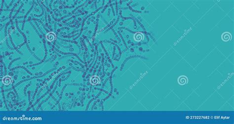 Probiotics Lactic Acid Bacteria Bacteria And Microorganisms Stock