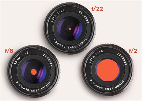 How To Choose The Right Lens For Your Dslr Or Mirrorless Camera