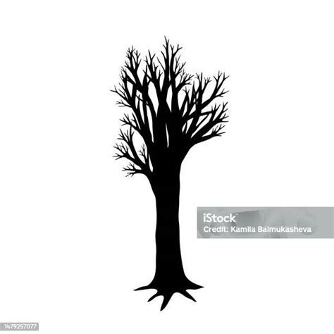 두꺼운 줄기와 짧은 가지가있는 나무 잎이없는 나무 전체 길이 검은 나무 실루엣 검은색 잉크로 손으로 그린 벡터 추적 그림 0명에 대한 스톡 벡터 아트 및 기타 이미지
