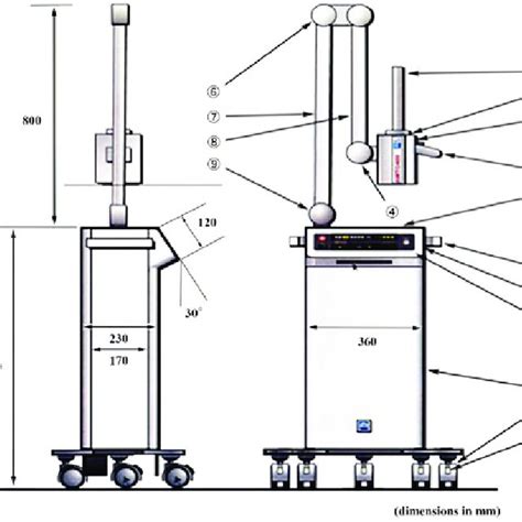 Histopathological Examination Following Conization Patient 2