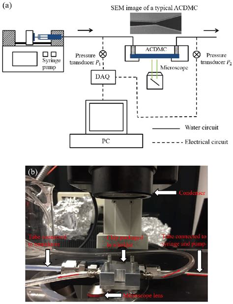 Experimental Setup A Schematic Of The Fluidic System An Sem Image