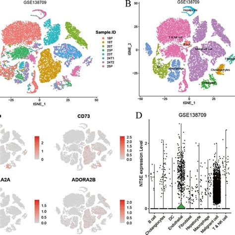 Genomic Mutation Profiles Of Cd73 Highlow Groups A The Oncoplot