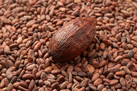 Premium Photo Single Pod Of Cocoa On Beans