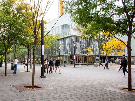 October 15 Active Attacker Simulation Postponed Community Safety And Security Toronto