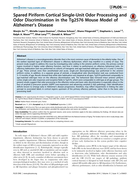 Pdf Spared Piriform Cortical Single Unit Odor Processing And Odor Discrimination In The Tg2576