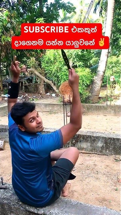 ගැම්මක් වත් නැතුව ගහන්නේ 😂🙈 Youtubeshorts Viral Shorts Trending Youtube