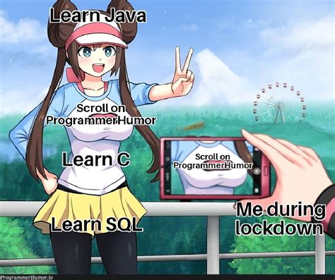 Painful But True ProgrammerHumor Io