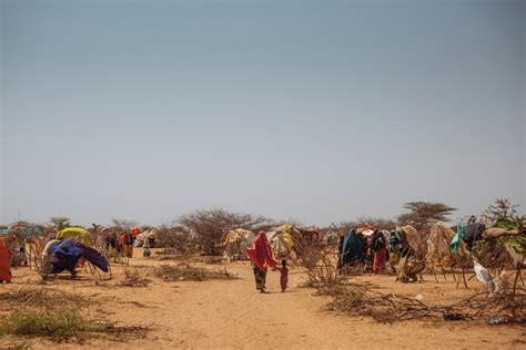 “drought Destroyed Our Lives” One Womans Experience Of Environmental