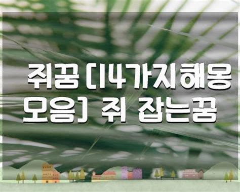 쥐꿈 14가지해몽모음 쥐 잡는꿈