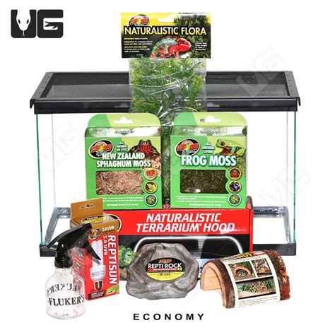 Complete Dart Frog Setup Underground Reptiles