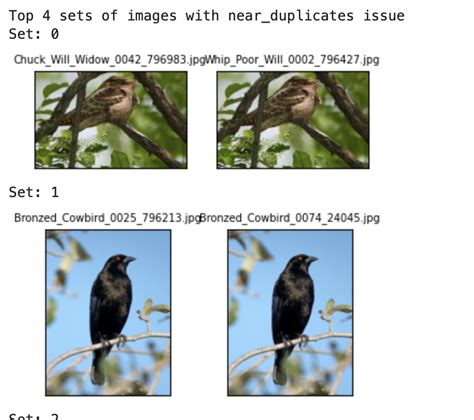 handle long filenames in visualization · issue 122 · cleanlab cleanvision · github