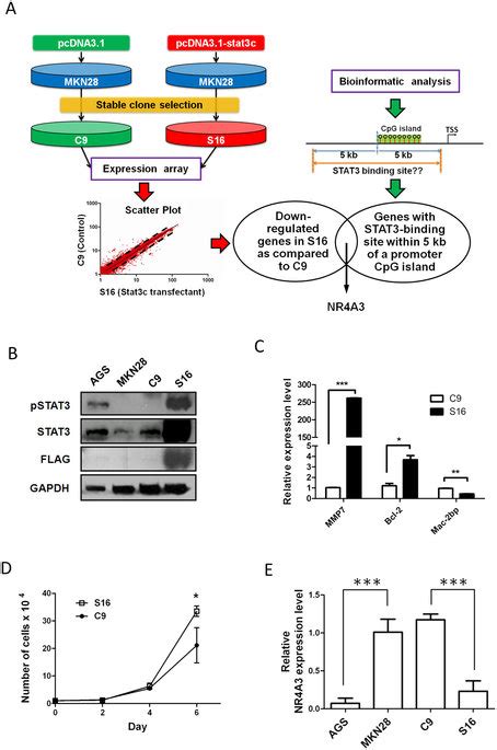 Integrated Expression Microarray And Bioinformatic Analyses Identifies Download Scientific