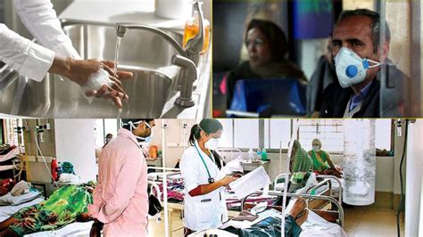 Nipah Virus Know Prevention Symptoms Treatment And Other Details