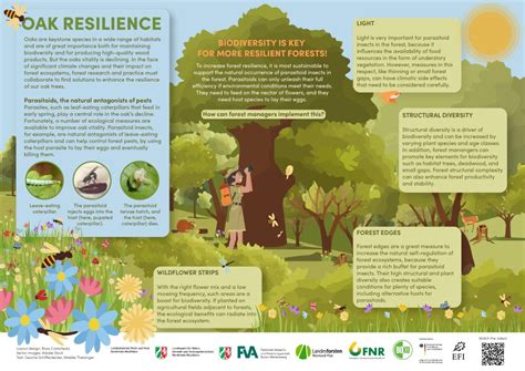 Increase Biodiversity To Strengthen Oak Resilience